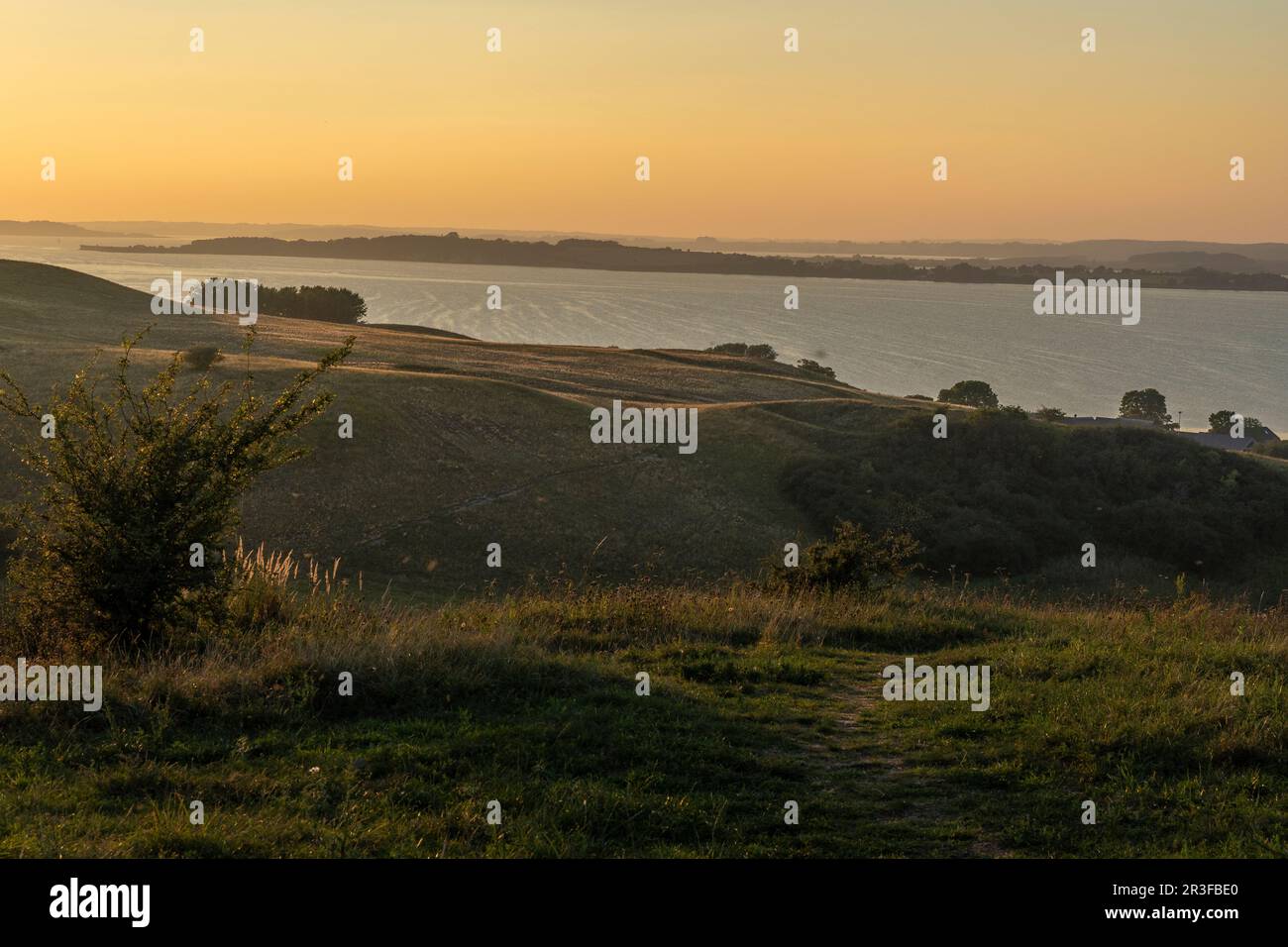 Moenchgut nature reserve at sunset Stock Photo - Alamy