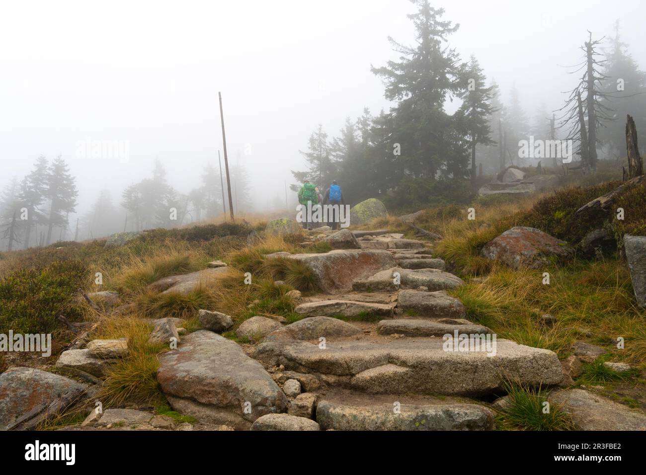 Hiking in the Giant Mountains - on the Friendship Trail Stock Photo - Alamy