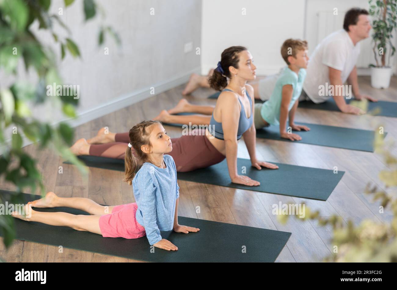 Family with two children doing yoga in studio Stock Photo - Alamy