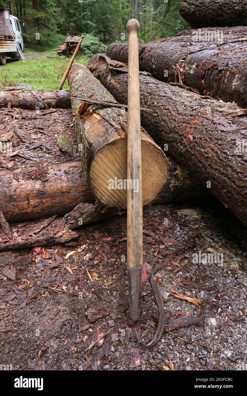 Tree trunks with turning hooks Stock Photo - Alamy
