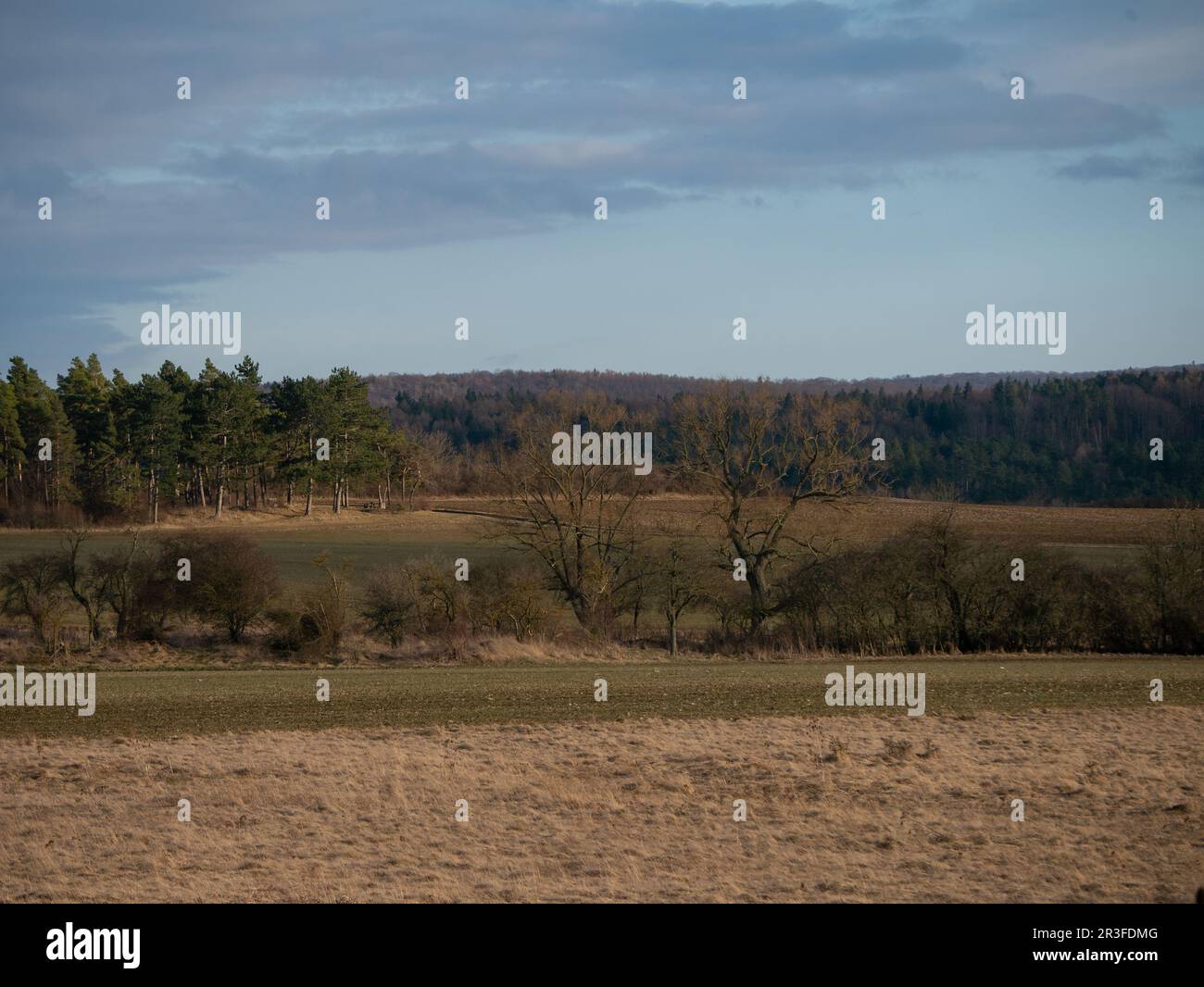 Winter landscape without snow hi-res stock photography and images - Alamy