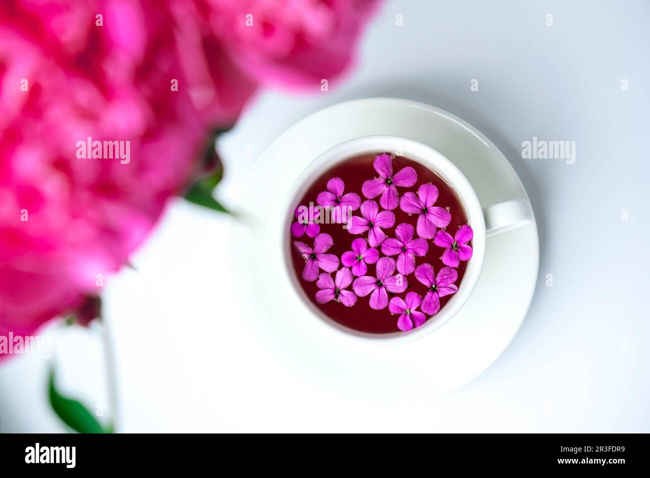 Creative layout with pink peonies flowers and cup of tea on bright ...