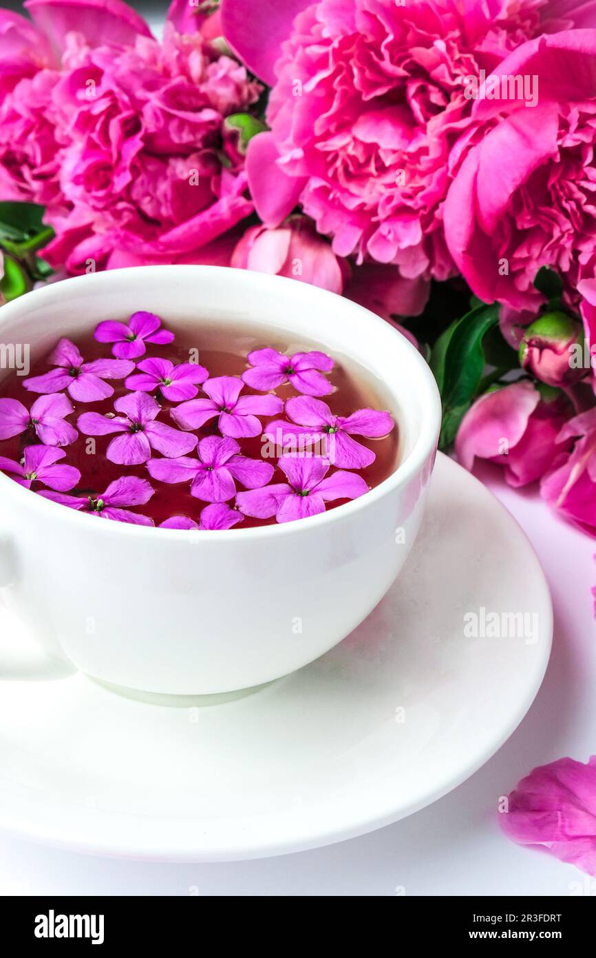 Creative layout with pink peonies flowers and cup of tea on bright ...