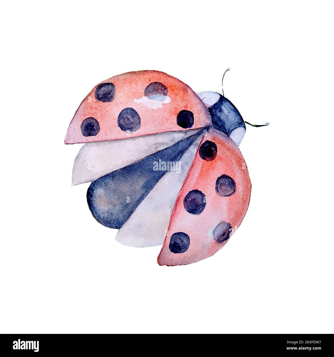 Watercolor botanical summer colorful flying ladybug isolated on white ...