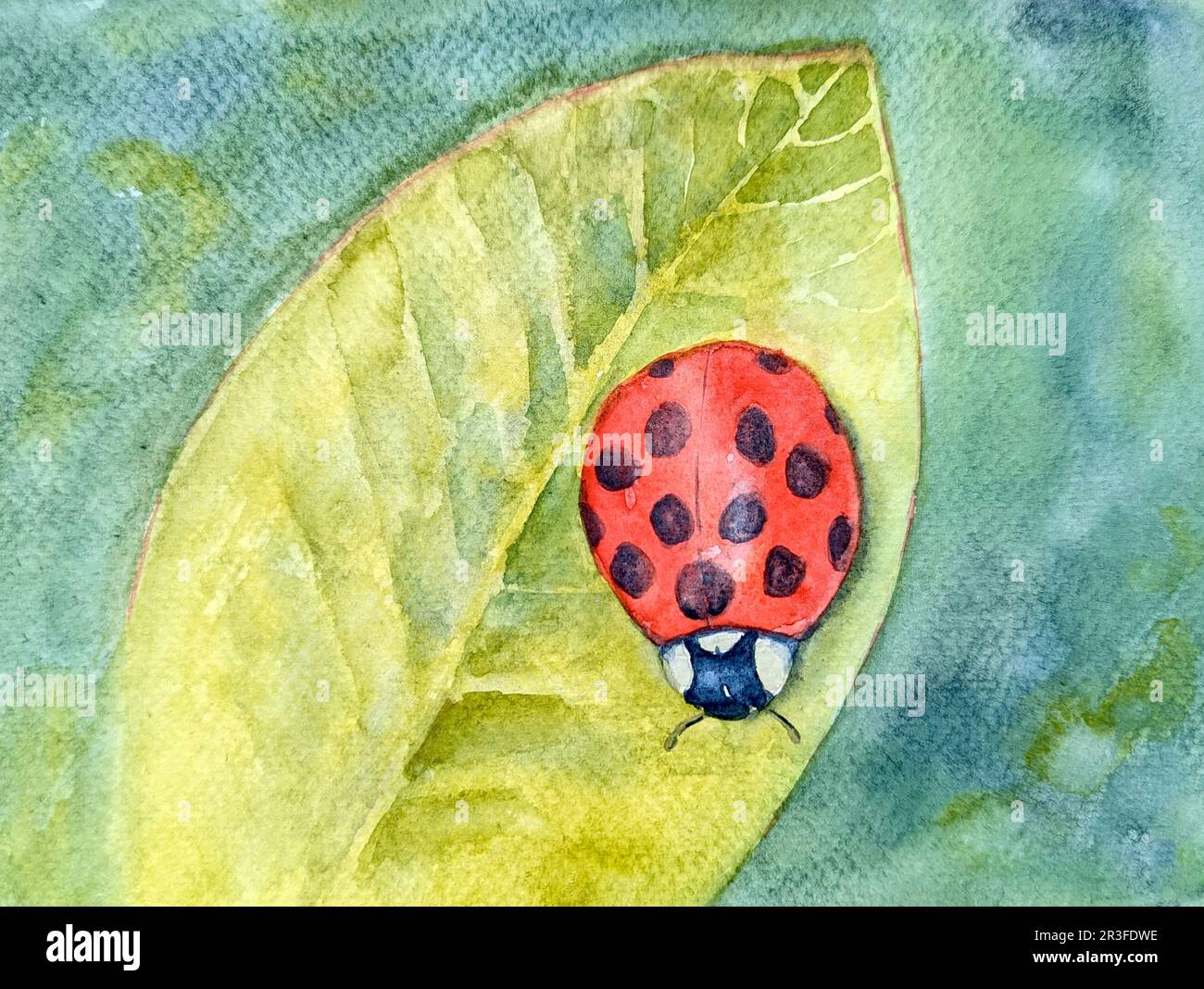 Watercolor botanical summer illustration with colorful ladybug, meadow ...