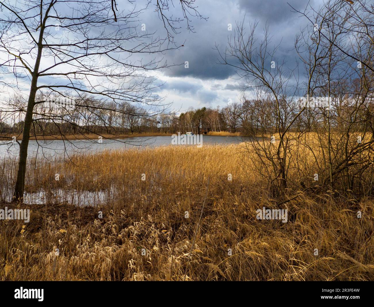 Winter rest in the biosphere reserve of the Oberlausitzer heath and ...