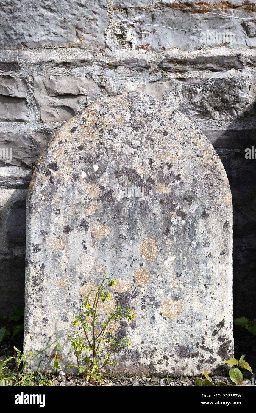A very old grave stone marker leaning against a stone wall in an Irish ...