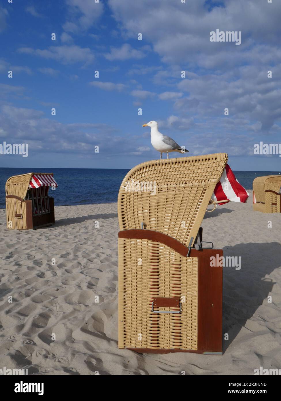 Impressions on sand hi-res stock photography and images - Alamy