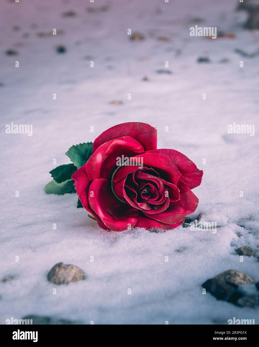 State of peace hi-res stock photography and images - Alamy