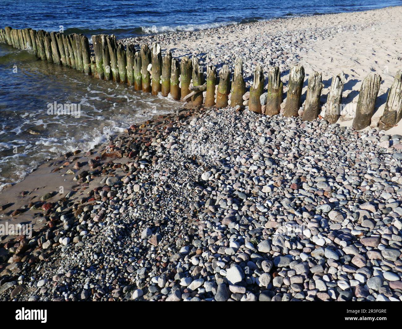 Old groynes on the pebble beach Stock Photo - Alamy