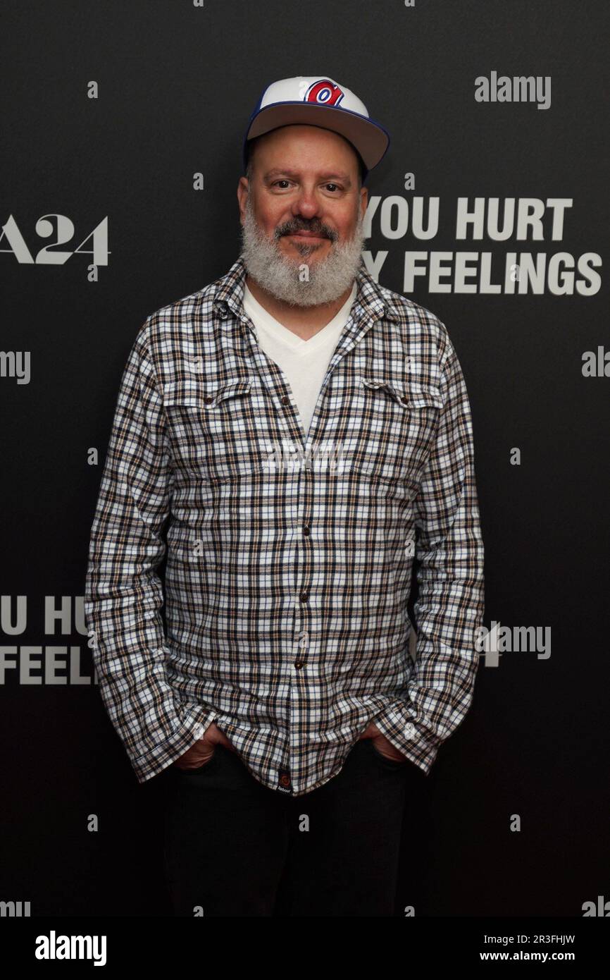 New York, NY, USA. 22nd May, 2023. David Cross at arrivals for YOU HURT ...
