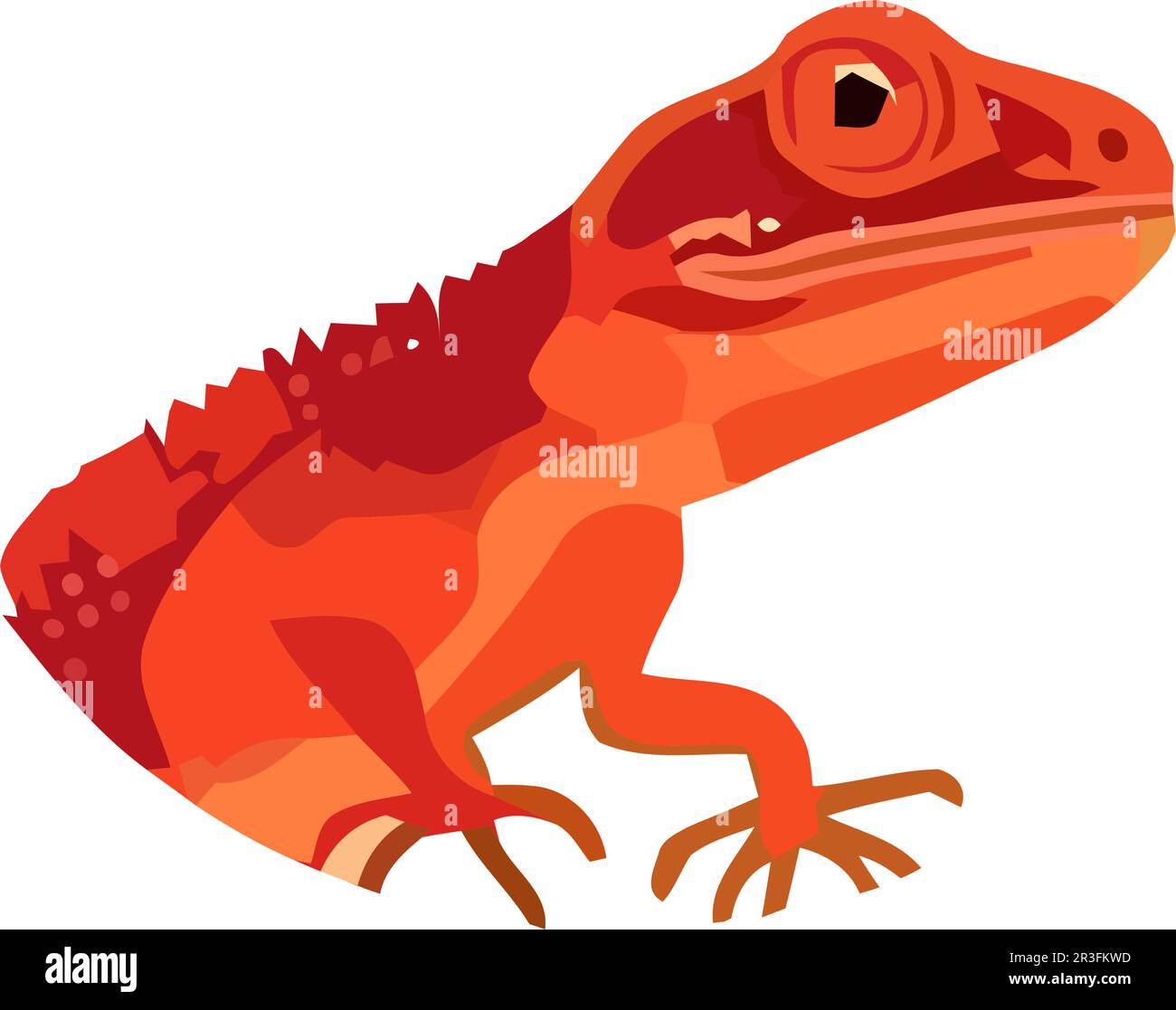 Cute gecko sitting on white background Stock Vector Image & Art - Alamy