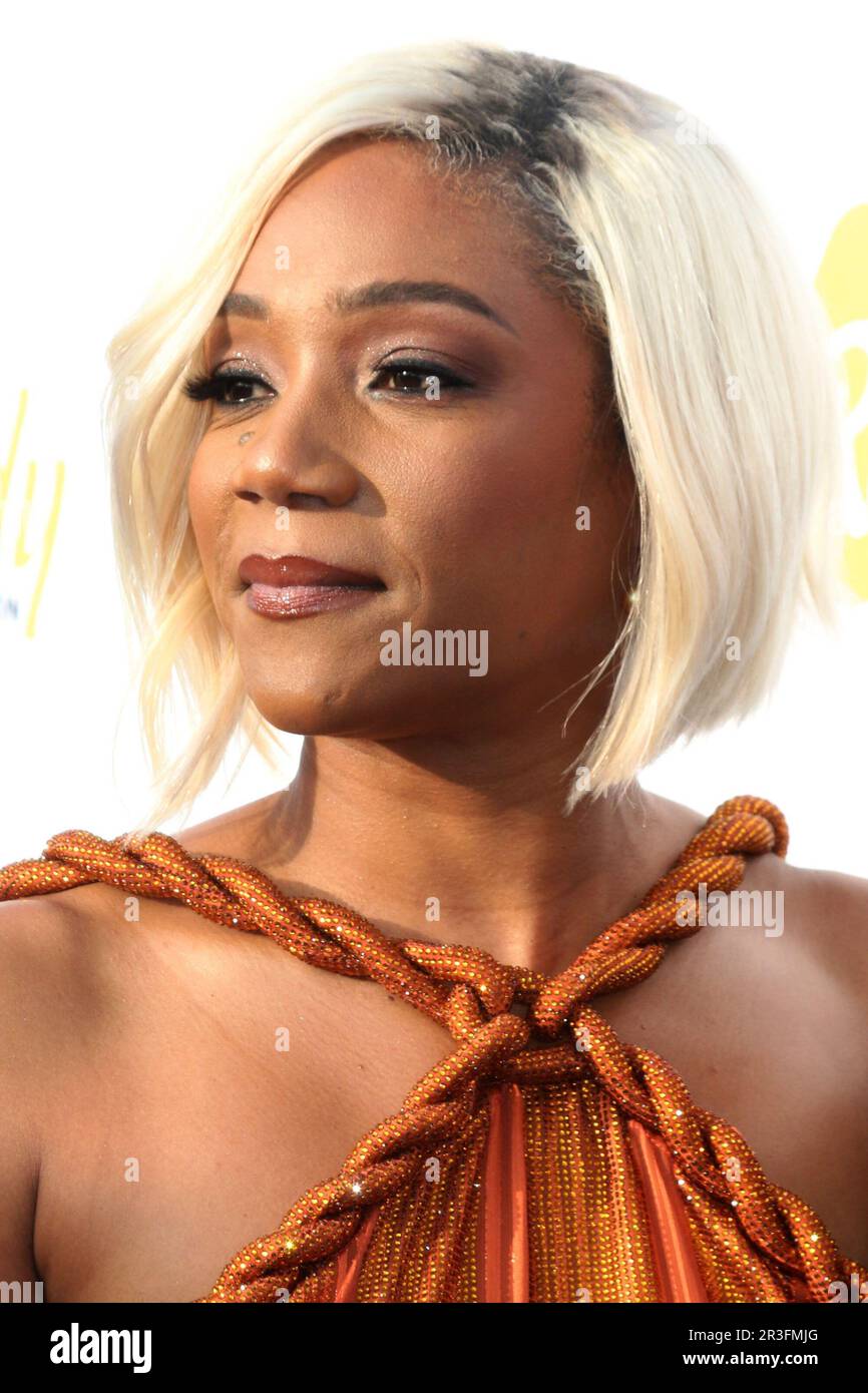 Los Angeles, CA. 19th May, 2023. Tiffany Haddish at arrivals for She ...
