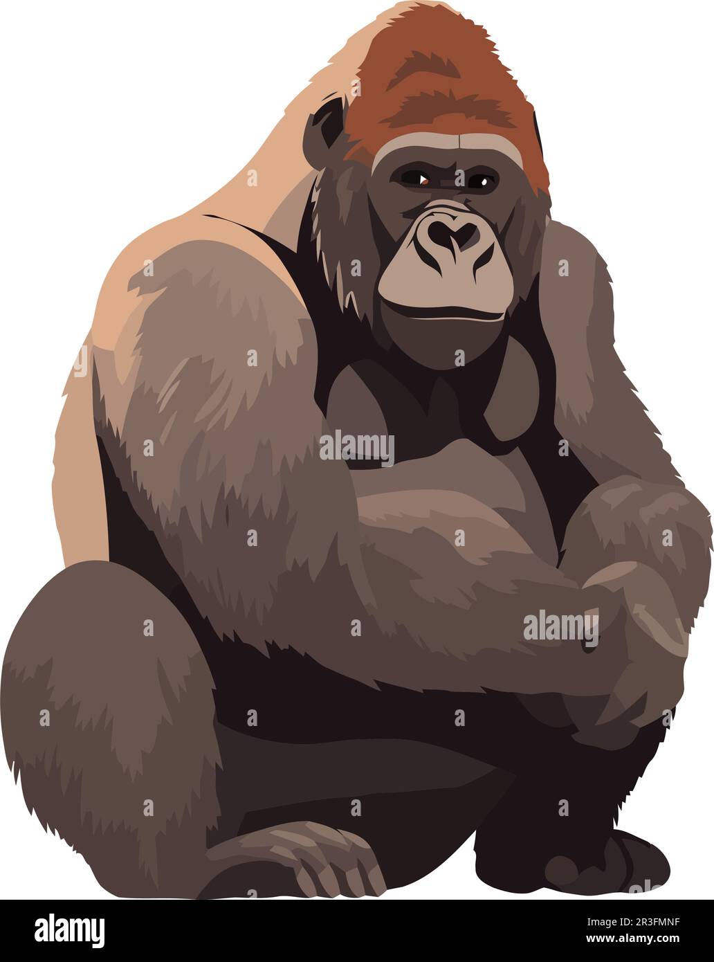 Cute gorilla primate on white background Stock Vector Image & Art - Alamy