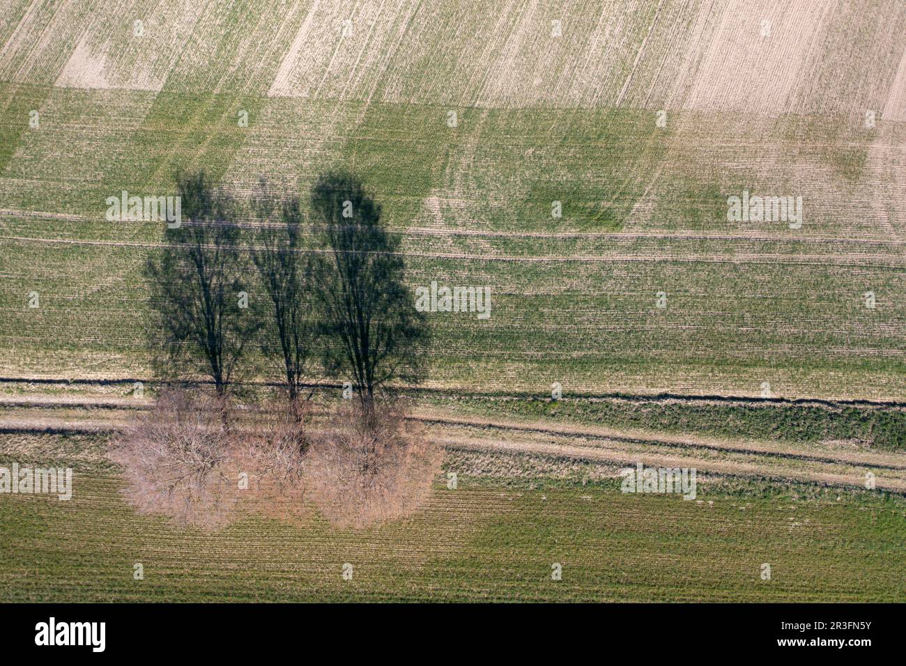 Aerial view dirt road and single trees Stock Photo - Alamy