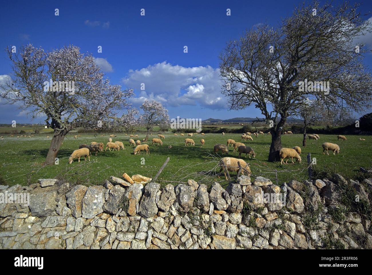Cercado tradicional hi-res stock photography and images - Alamy