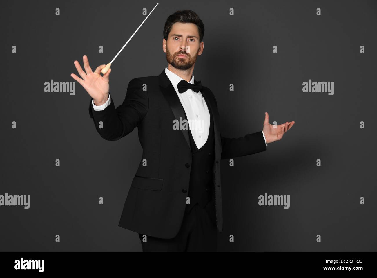 Professional conductor with baton on grey background Stock Photo - Alamy