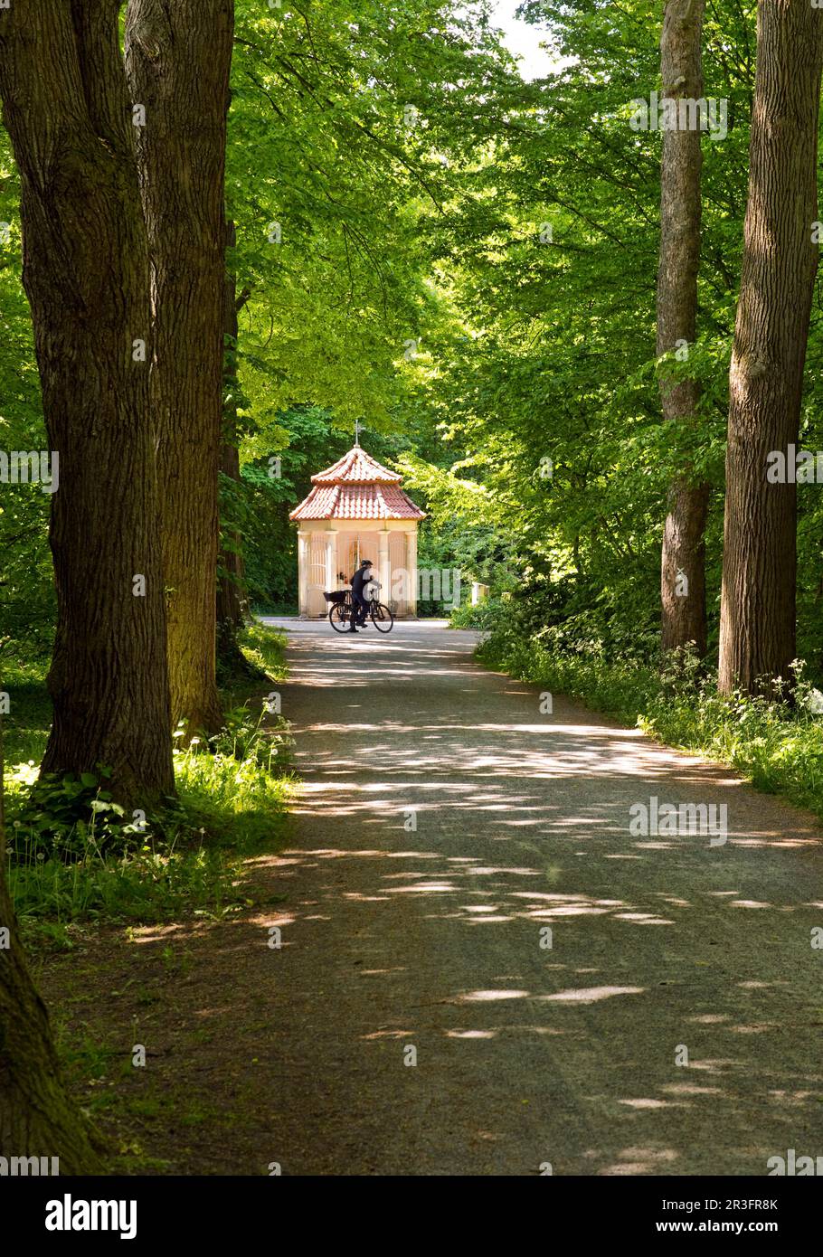 Avenue to the Marien chapel at the castle, Senden, North Rhine ...