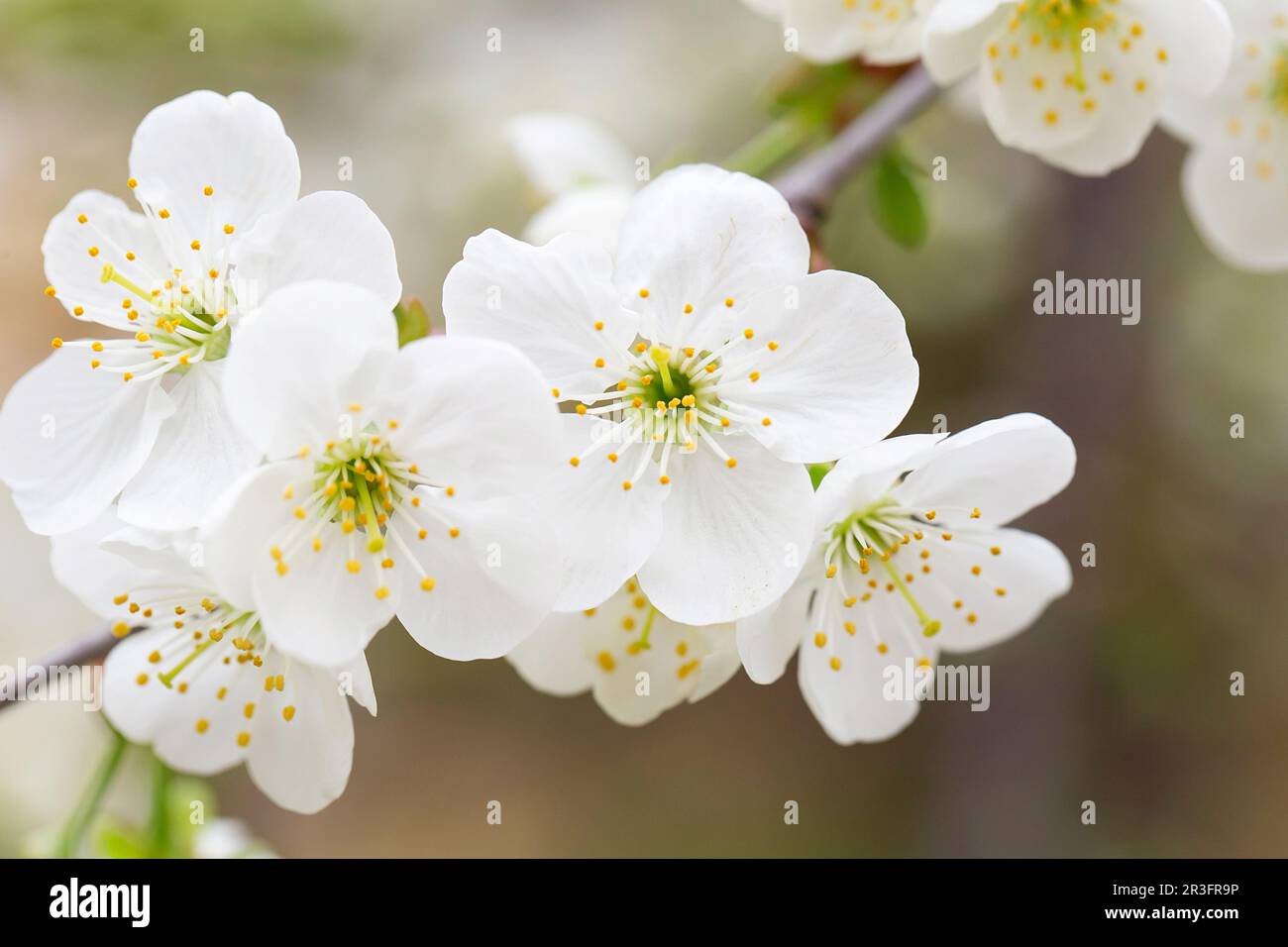 Warm april weather hi-res stock photography and images - Alamy