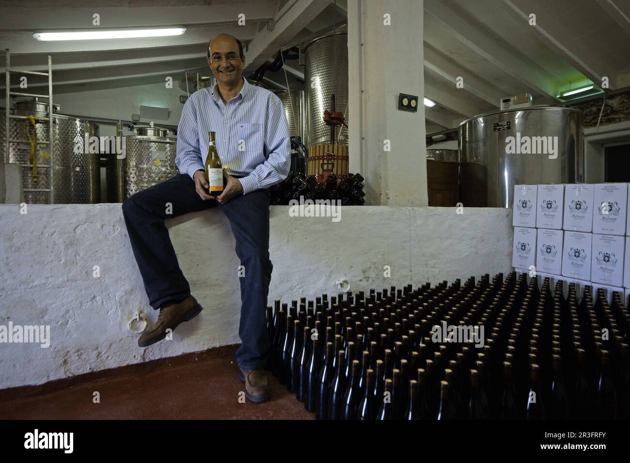 Produccion viticola hi-res stock photography and images - Alamy