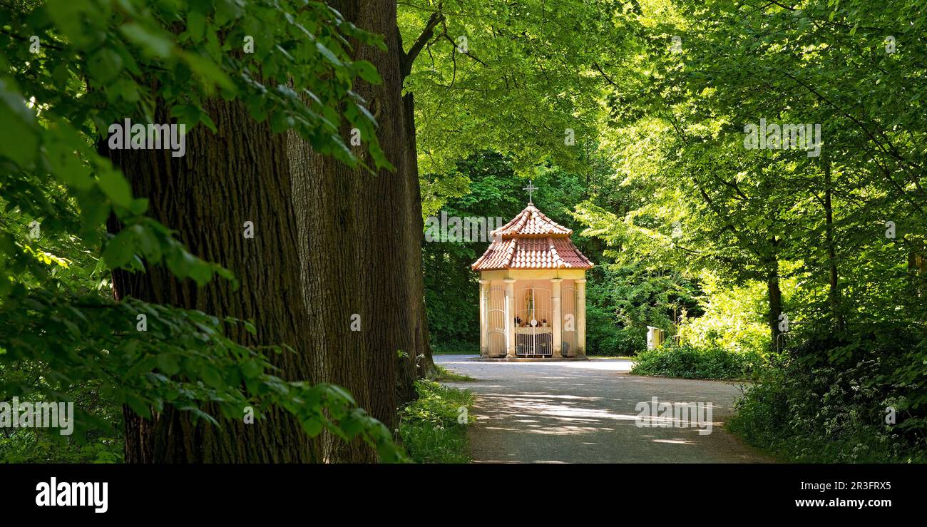 Avenue to the Marien chapel at the castle, Senden, North Rhine ...