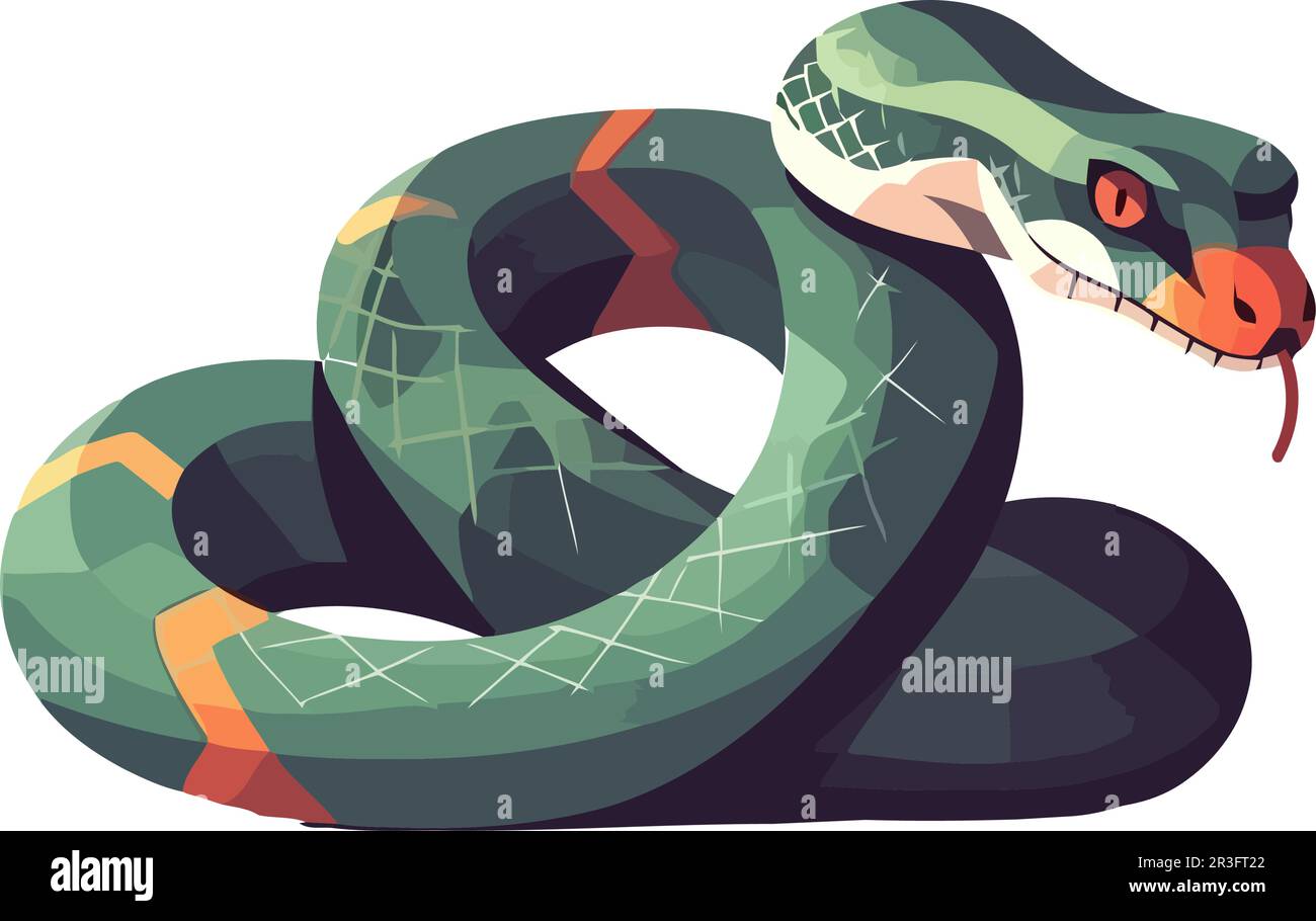 Viper in wild poisonous Cut Out Stock Images & Pictures - Alamy