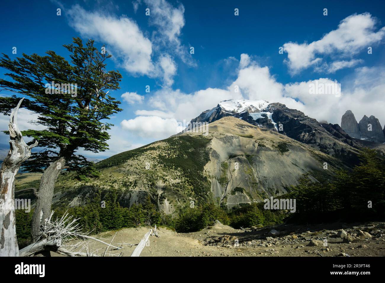 Monte Almirante Nieto 2670 metros,ascenso a la Huella del Puma, Parque ...