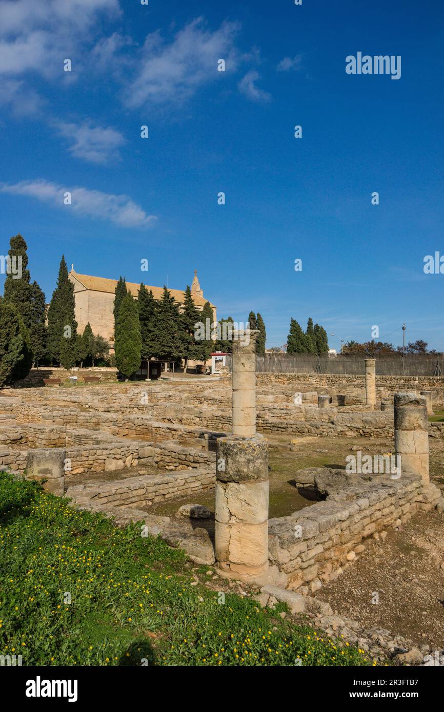 Roman museum of pollentia hi-res stock photography and images - Alamy