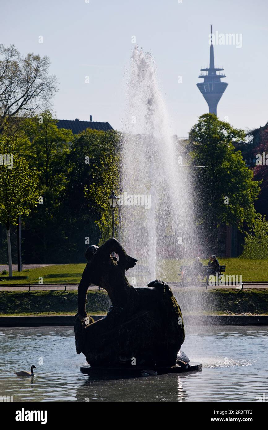 The Fontaine Jroener Jong in the Hofgarten and the Rhein Tower in the ...