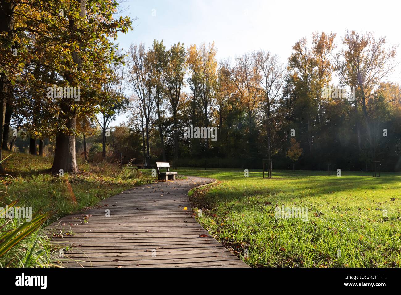 Picturesque view of park with beautiful trees and pathway on sunny day ...