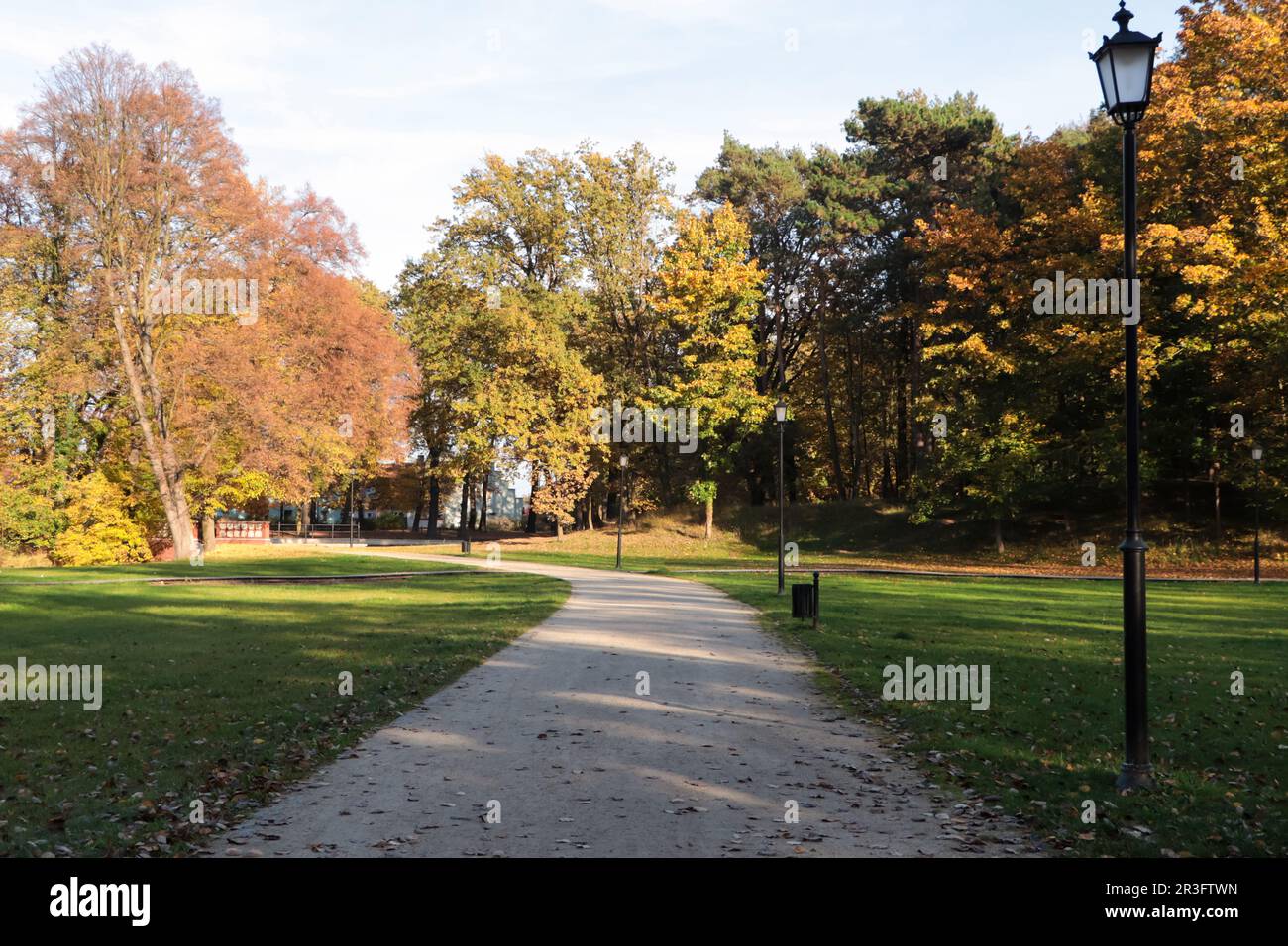 Picturesque view of park with beautiful trees and pathway on sunny day ...