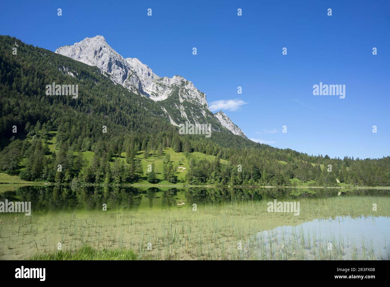 Swimming lake hi-res stock photography and images - Alamy