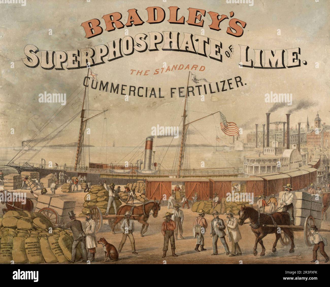 Vintage advertisement for Bradley's superphosphate of lime. The ...