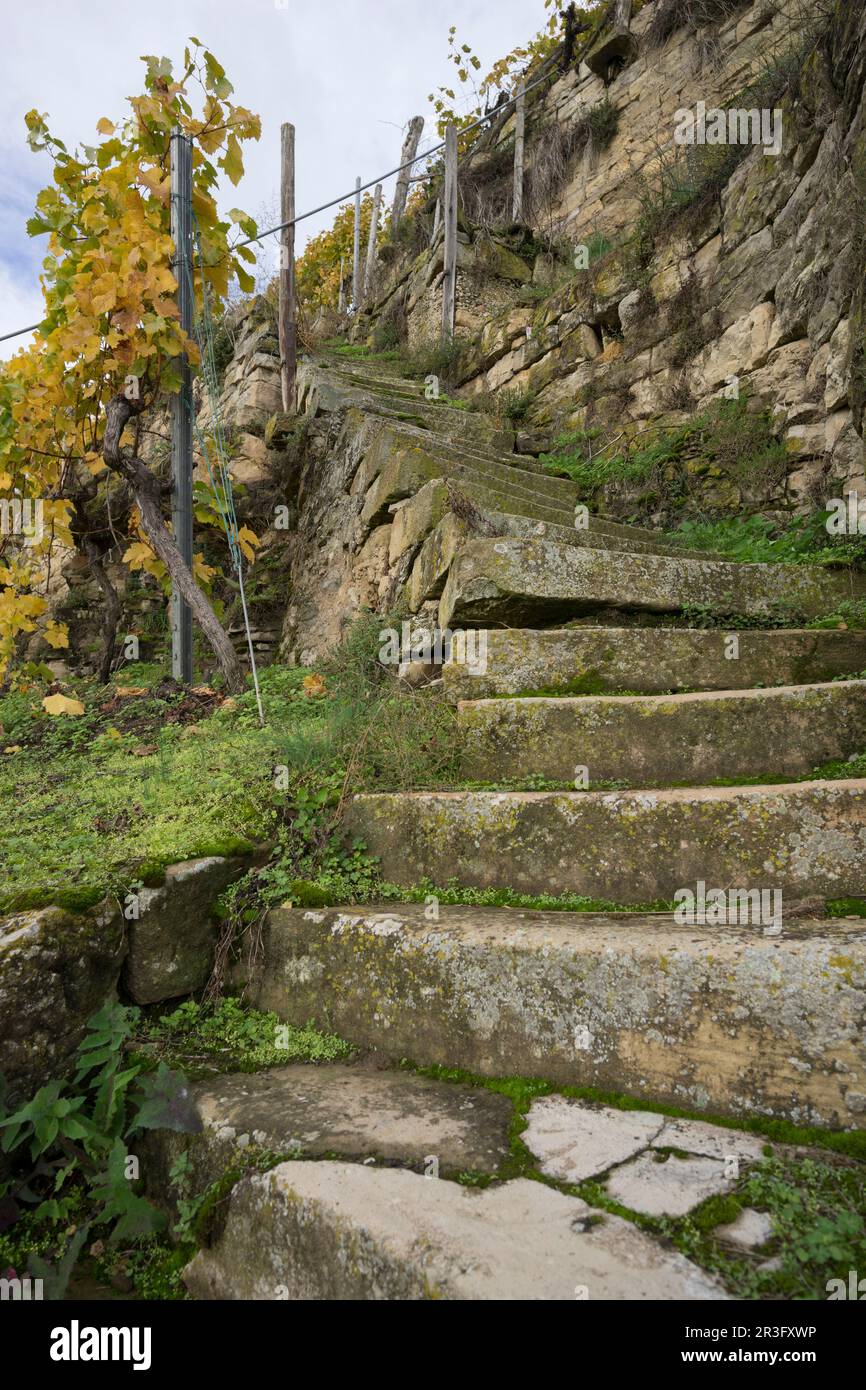 Old valley hi-res stock photography and images - Alamy