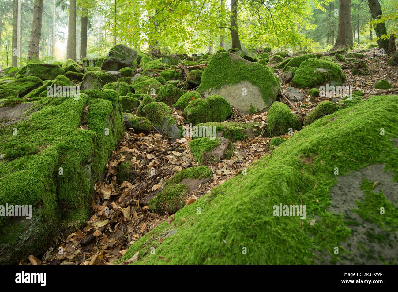 Block field in heidelberg Stock Photo - Alamy