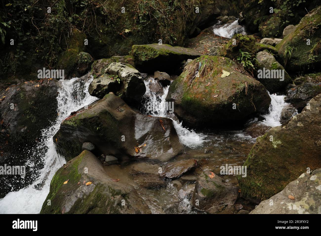Mountain stream and rocks hi-res stock photography and images - Alamy