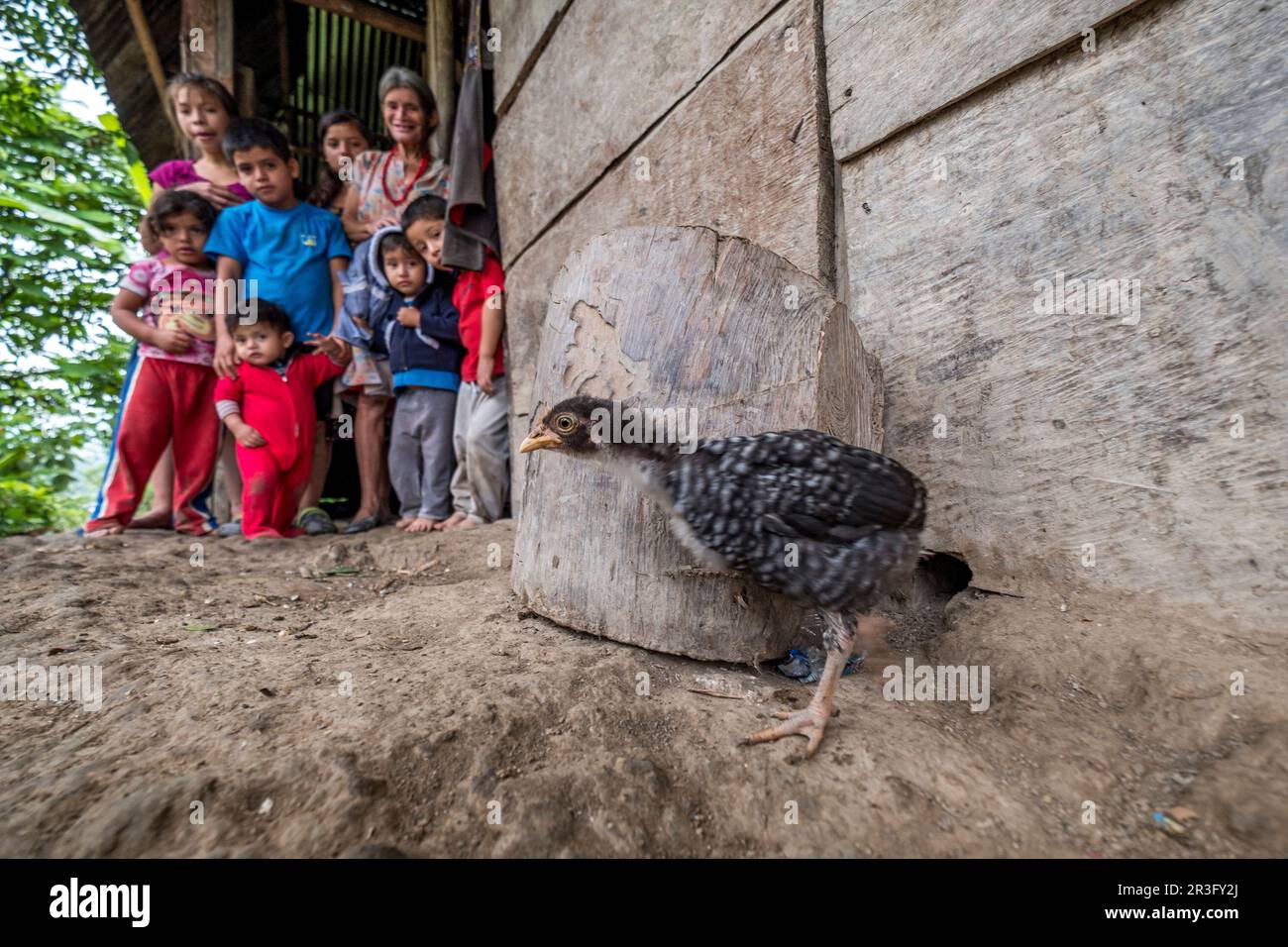 Tesoro Chiquito, La Taña, Franja Transversal del Norte , departamento ...