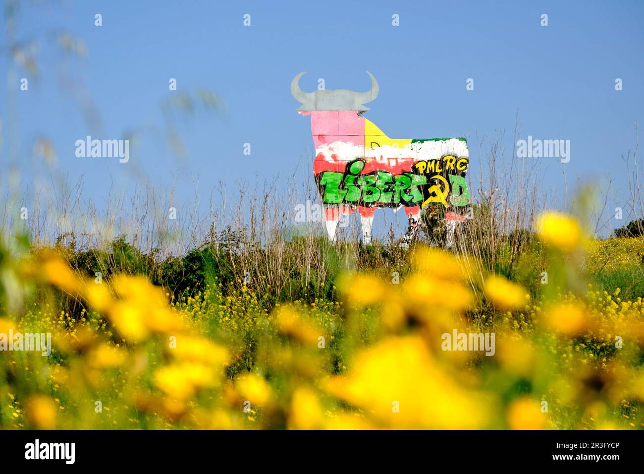 Silueta de toro hi-res stock photography and images - Alamy