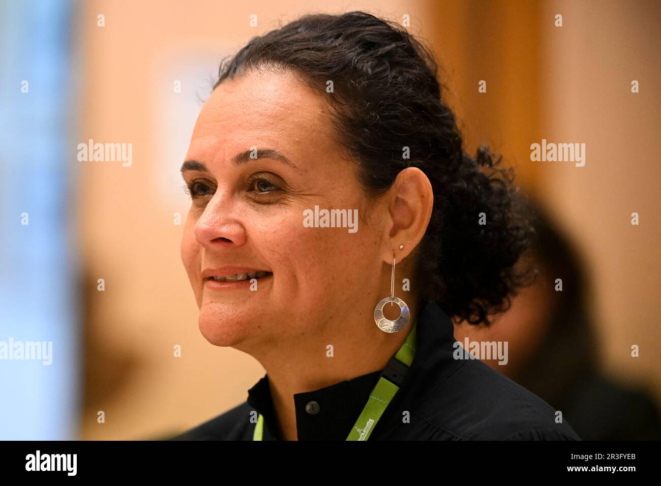 Registrar of the Office of the Registrar of Indigenous Corporations ...
