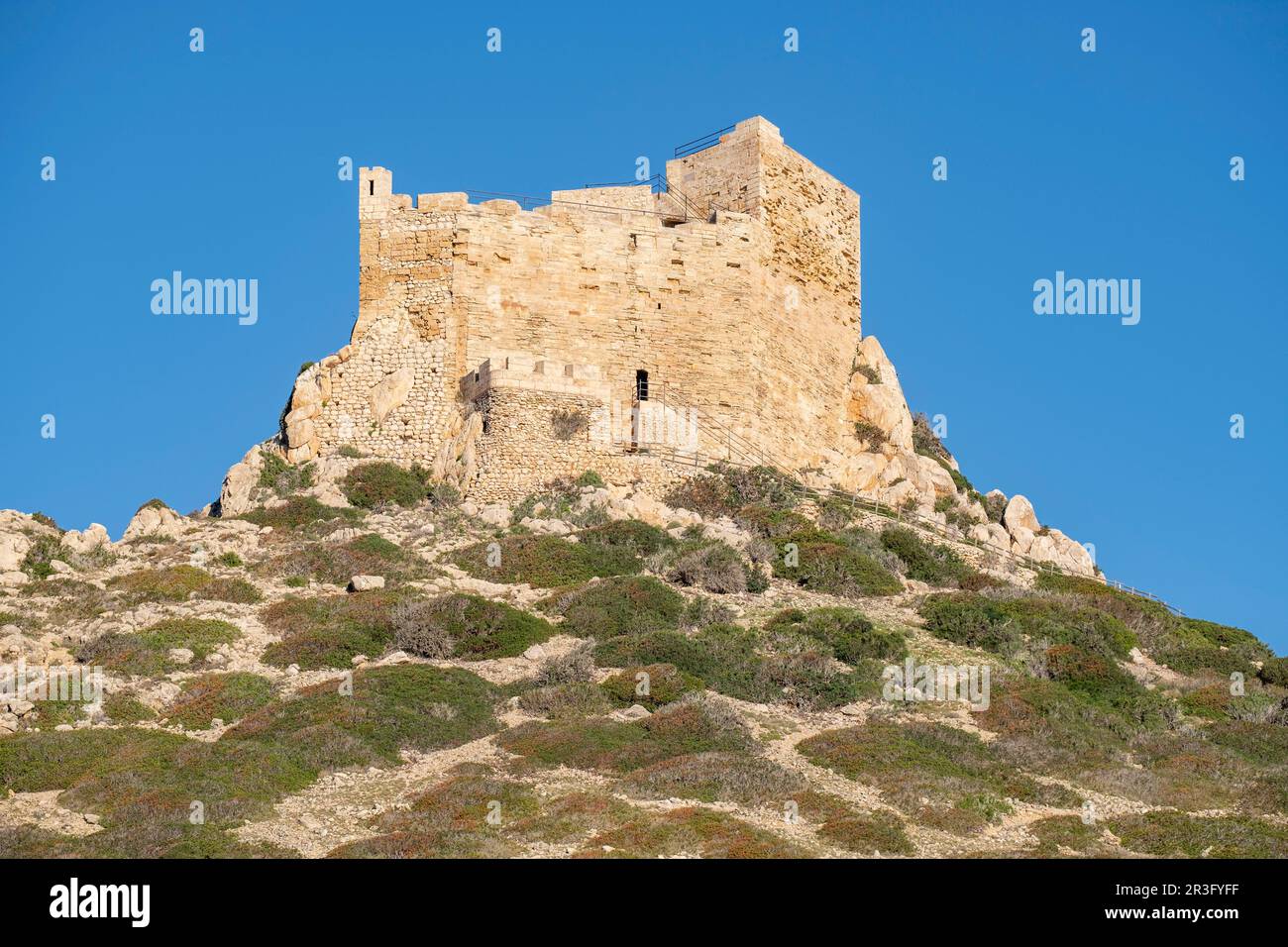 Terrestre del archipiélago de cabrera hi-res stock photography and ...