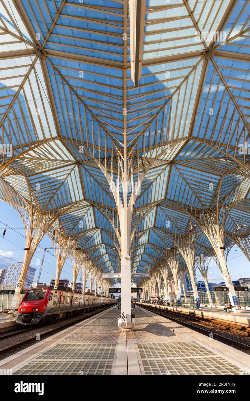 Train in Lisbon Lisboa Oriente station in Portugal modern railway ...