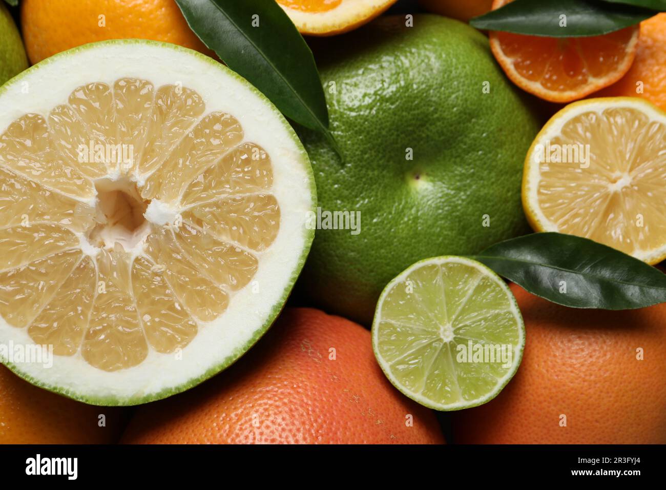 Different fresh whole and cut citrus fruits as background, top view ...