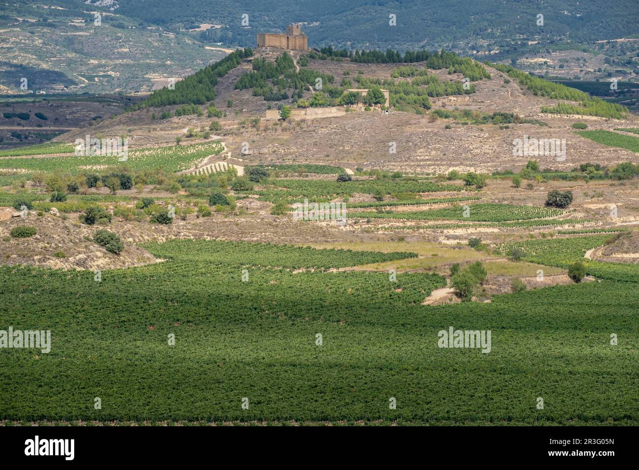Manejo del color hi-res stock photography and images - Alamy