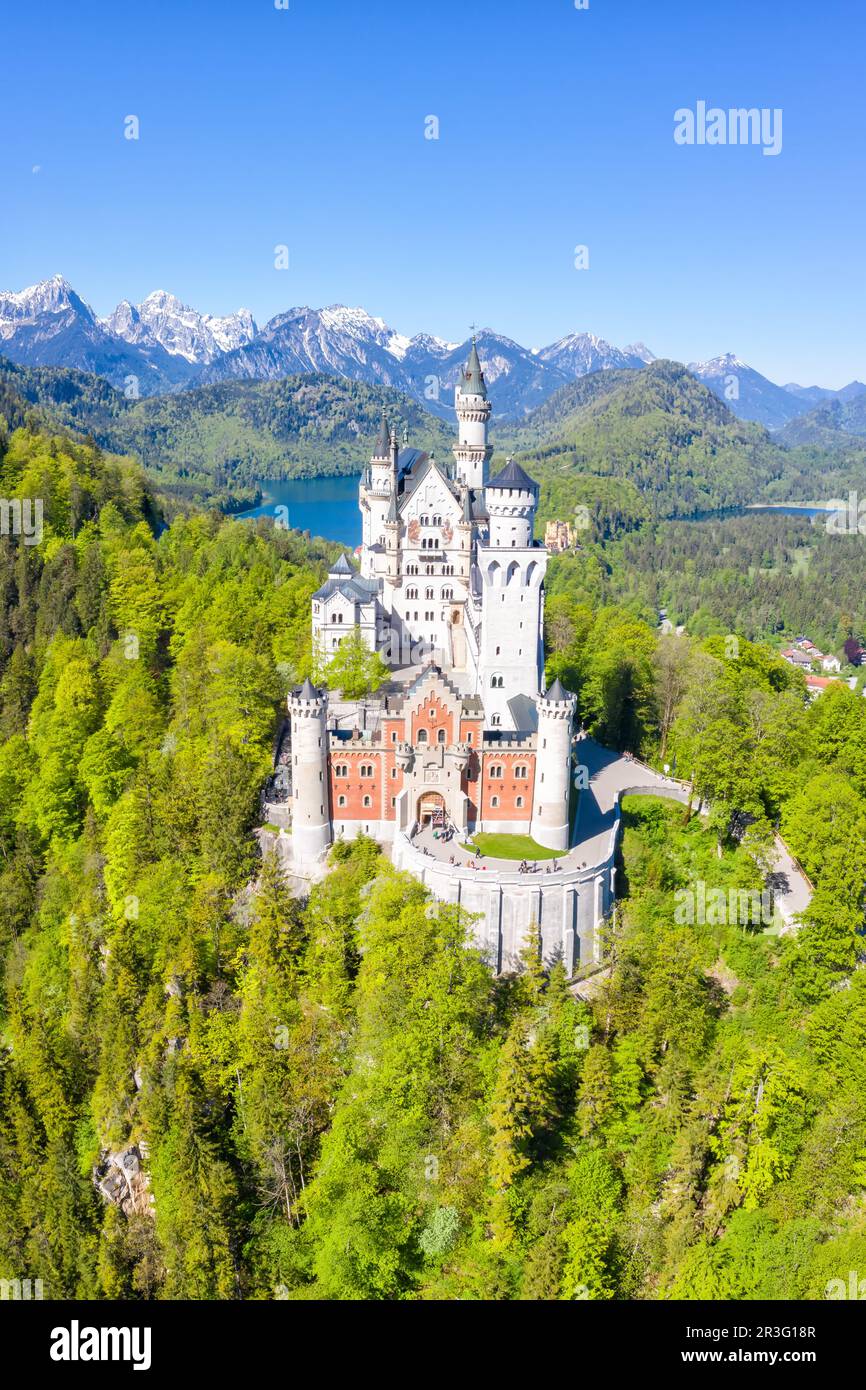 Neuschwanstein castle aerial photo with alps landscape travel portrait ...