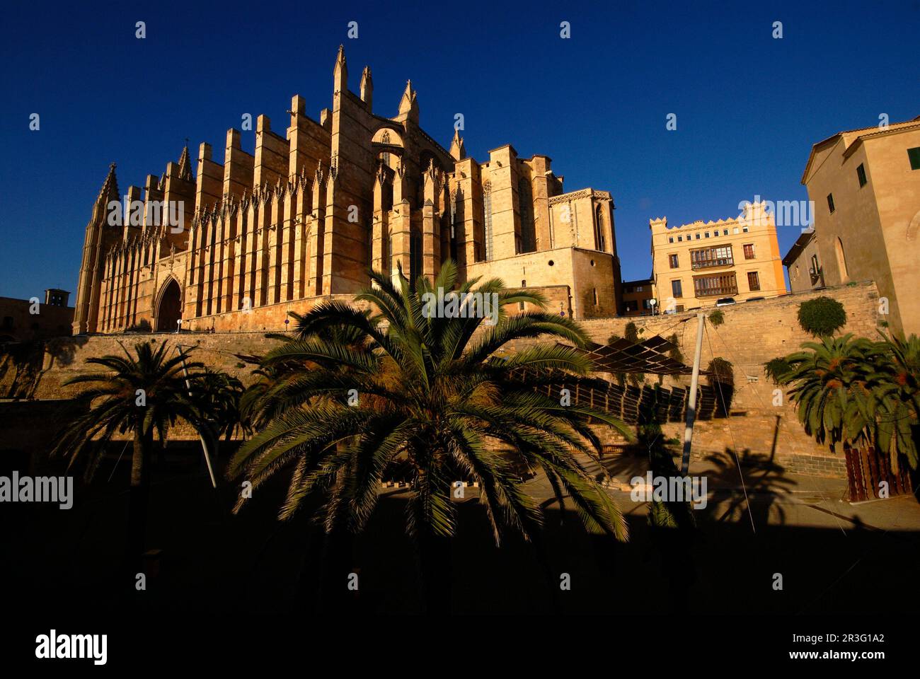 Catedral de Palma.D`alt murada.Ciudad de Palma. Mallorca. Baleares ...
