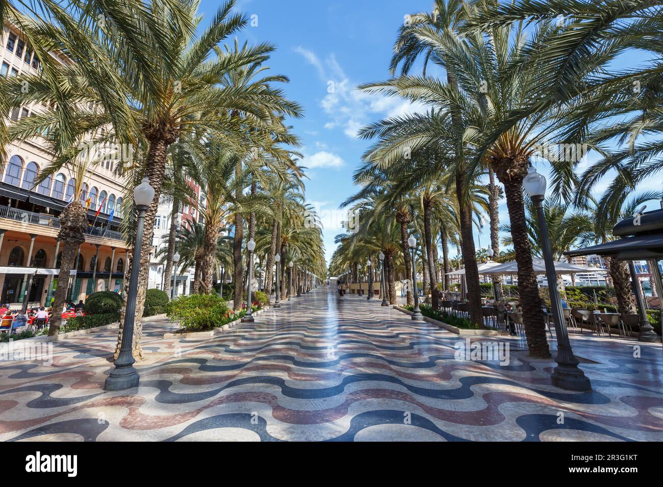 Alicante Alacant Boulevard Palm Avenue Esplanada d'Espanya vacation ...