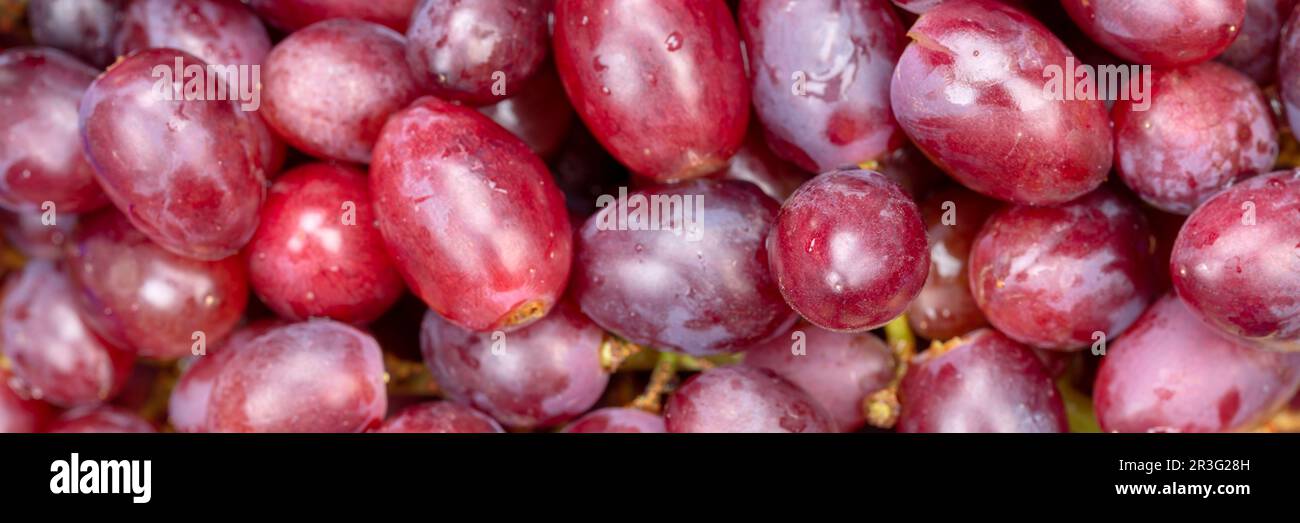 Red grapes grapes grape fruit background from above panorama Stock ...