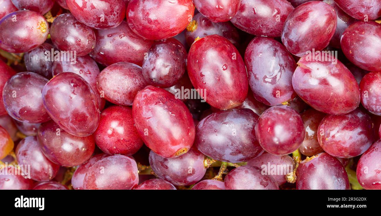 Red grapes grapes grape fruit background from above panorama Stock ...