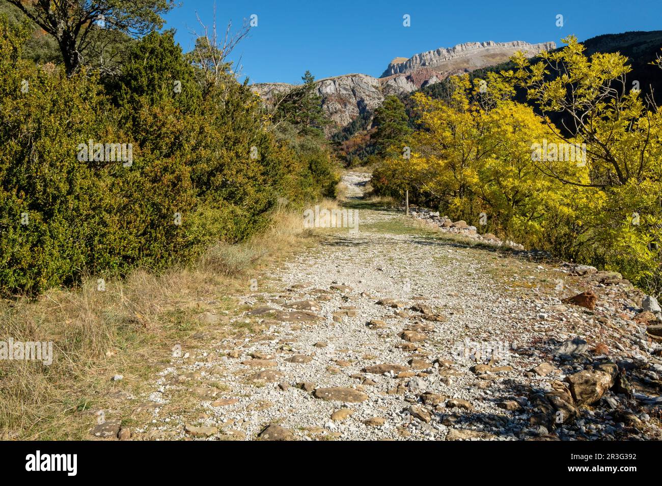 Ancient roman architecture diagram hi-res stock photography and images ...