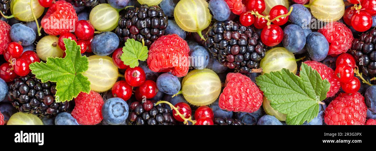 Berries fruits berry fruit like strawberries strawberry fresh ...